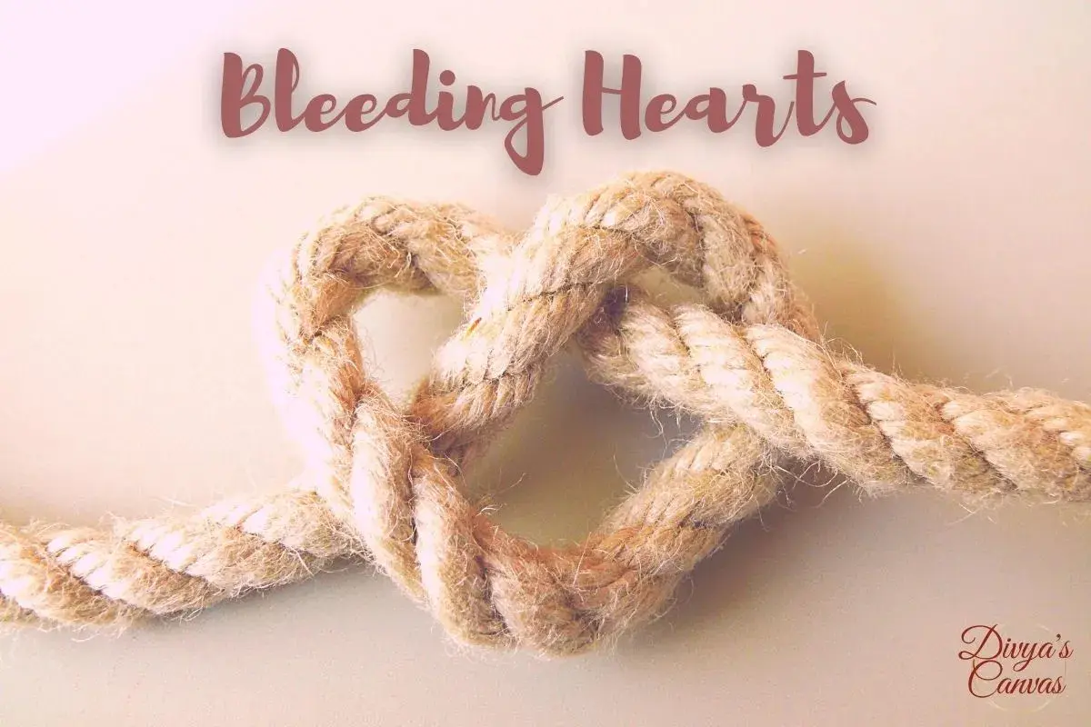 Bleeding Hearts | Divya's Canvas